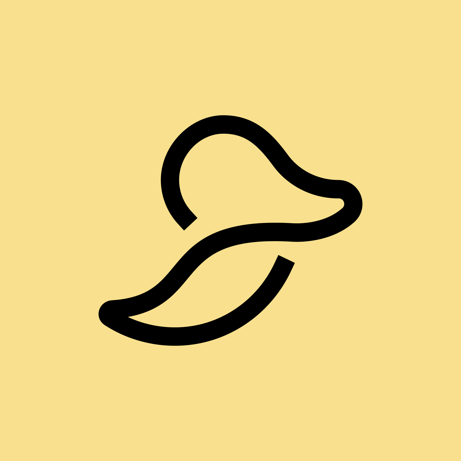 Duck Design Studio - Webflow